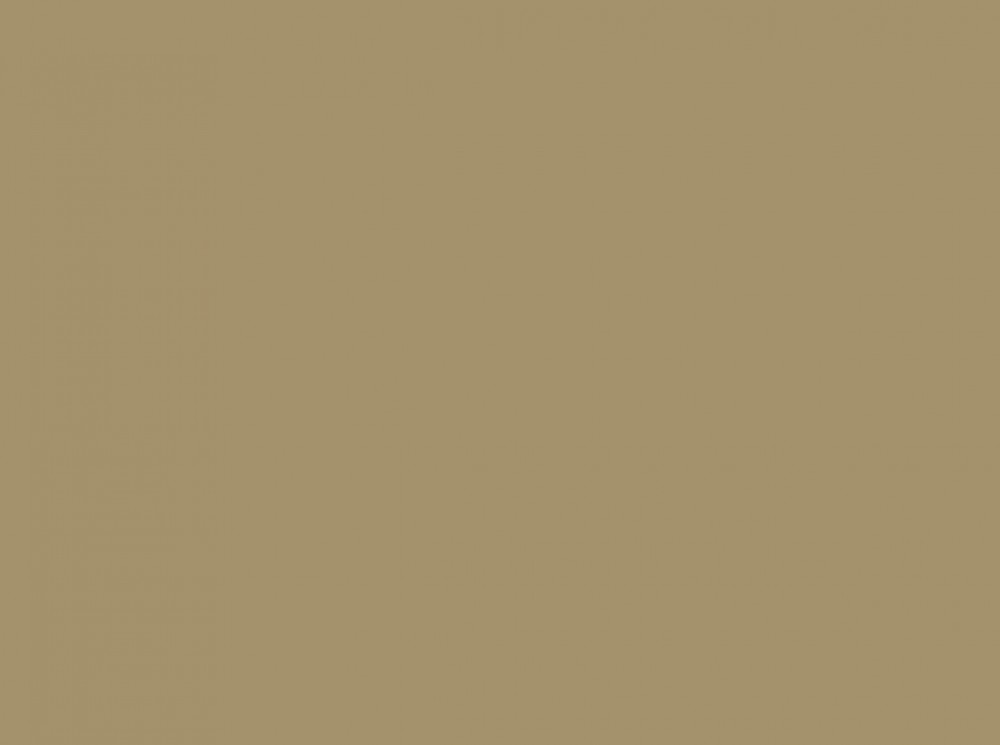 Model Colour Acrylic Paint - WWII German Camouflage Beige 17ml