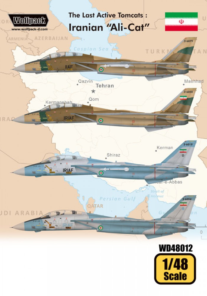 1/48 Grumman F-14A Tomcat Decals: The Last Active Tomcats - Iranian ...