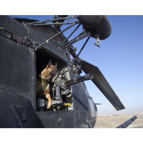 1/35 CH47 Chinook Door M134D Minigun Mount