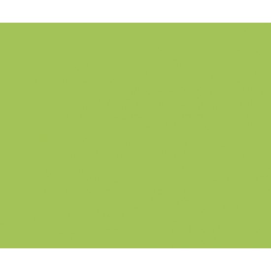 Model Colour Acrylic Paint - Fluorescent Green 17ml (#AV 70737) - BNA ...